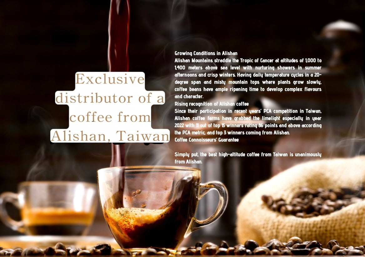 Alishan Coffee – Rest